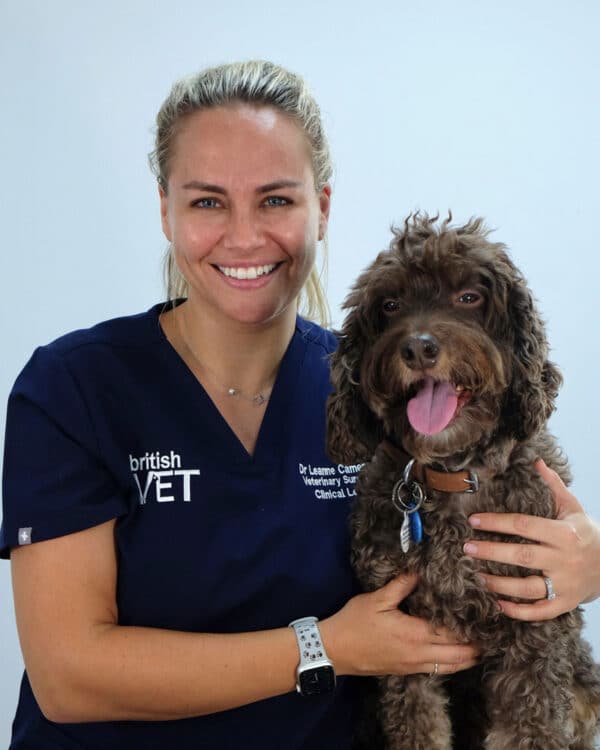 Home - British Veterinary Hospital